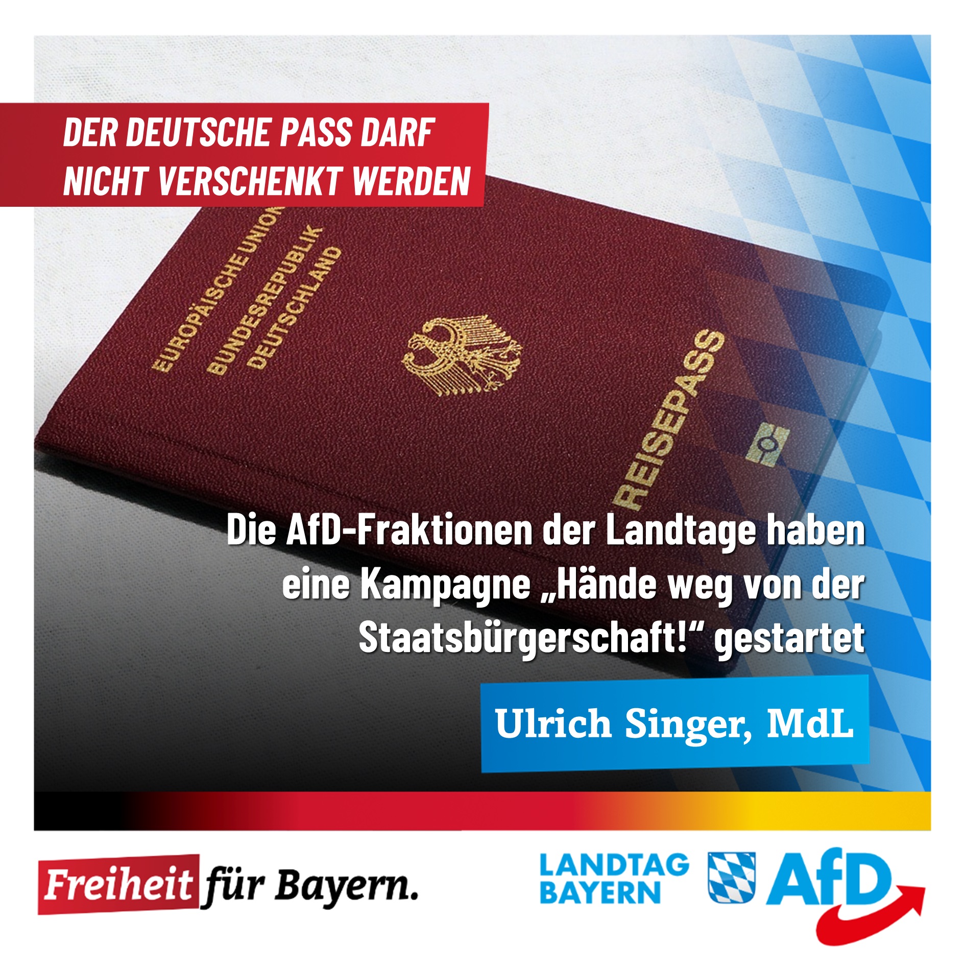 Ulrich Singer: Der deutsche Pass darf nicht verschenkt werden – Die AfD ...
