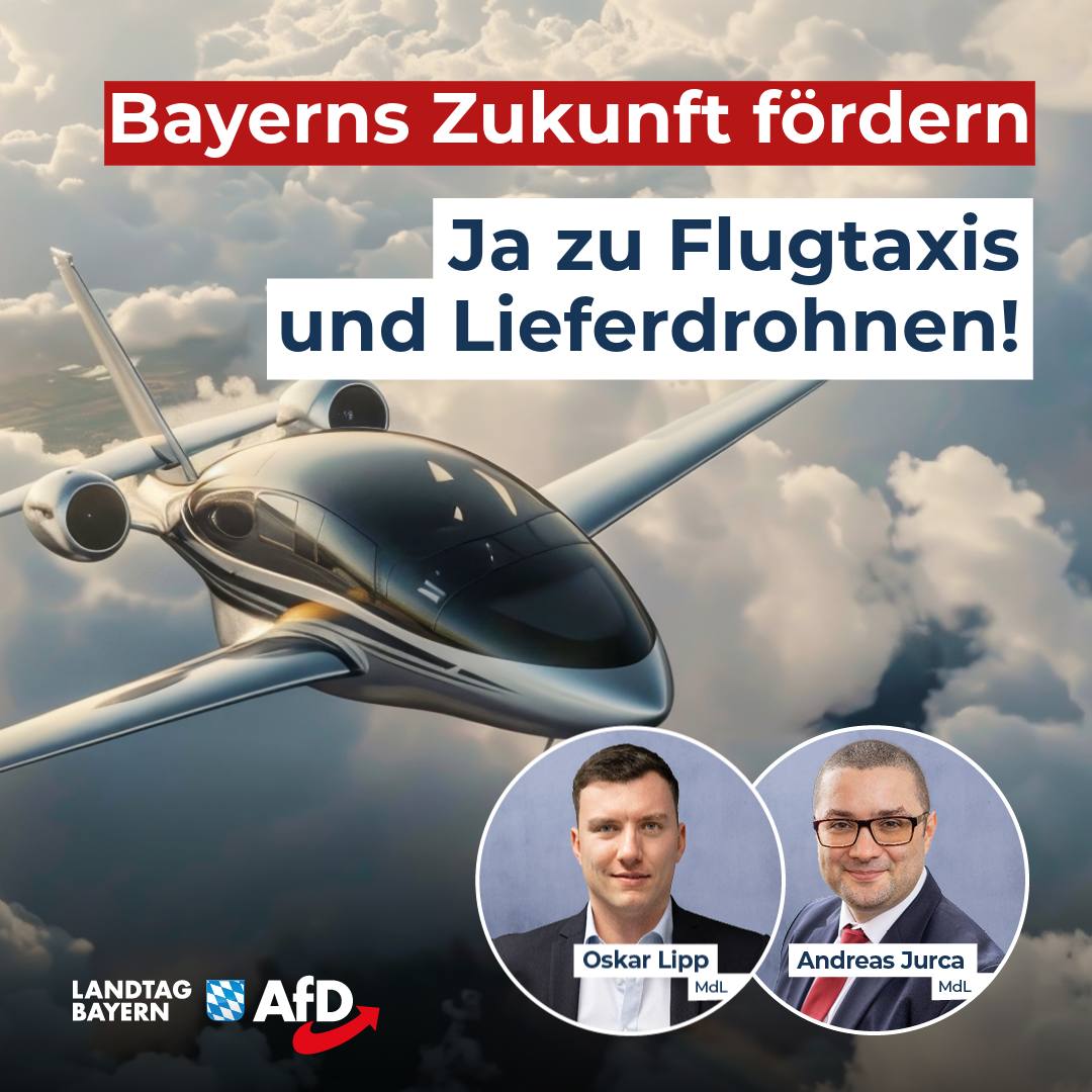 Oskar Lipp / Andreas Jurca: AfD für Förderung der Lilium GmbH – Wir ...